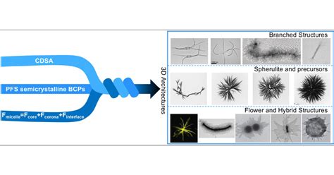 Three Dimensional Polymer Micelles Formed By Crystallization Driven Self Assembly Accounts Of