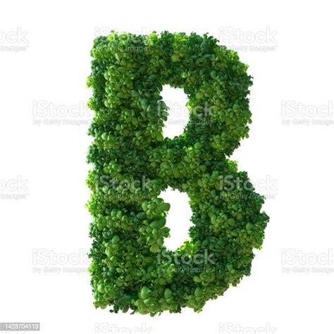 3d 알파벳 문자 B 녹색 식물 잎 잔디 이끼 바질 박하 클리핑 패스가 있는 흰색 배경에 격리되어 있습니다 3d 그림 0명에 대한 스톡 사진 및 기타 이미지 Istock