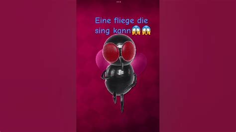 Eine Fliege 😂😂 ️ Youtube