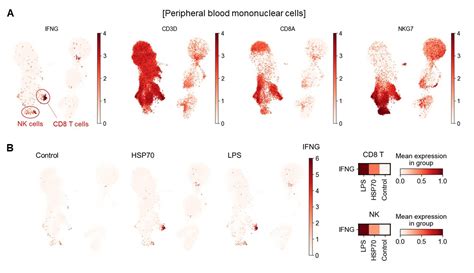 Interferon Gamma Signaling Is Associated With Development Of Extraglandular Manifestations In