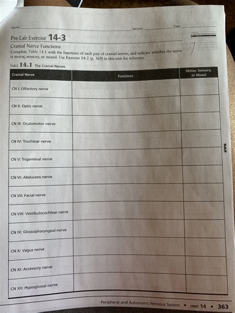 Solved Date Section 3 Pre Lab Exercise 14 Cranial Nerve Chegg Com