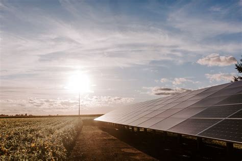 Halo Solar Finding A Balance Between Forests And Solar Forests