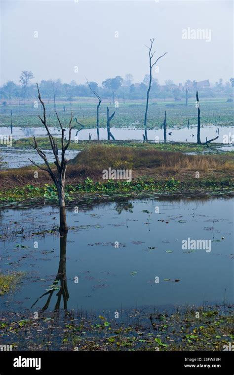 Ta Moks House Overlooks An Eerie Lake Near The Remains Of Pol Pots House In Anlong Veng