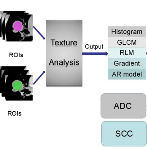 The Texture Analysis Based Model Of The Classification Between Adc And Download Scientific