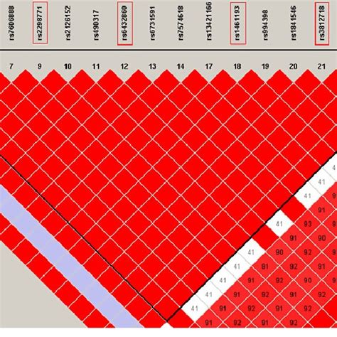 genotypes of single nucleotide polymorphisms snps in the scn1a gene