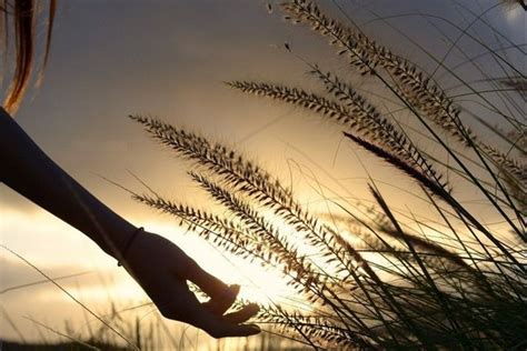 Alexandra Sivroskya ВКонтакте