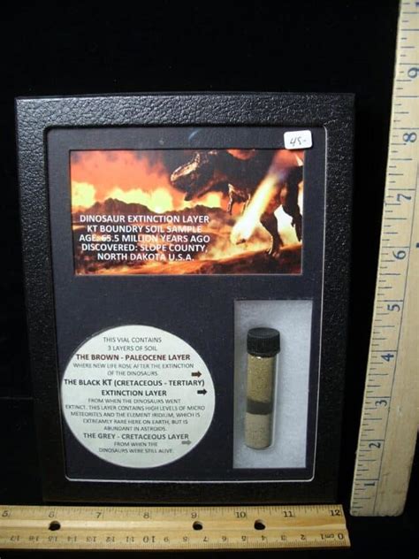 Preserved K T Boundary Layer Sample 040123b The Stones And Bones Collection