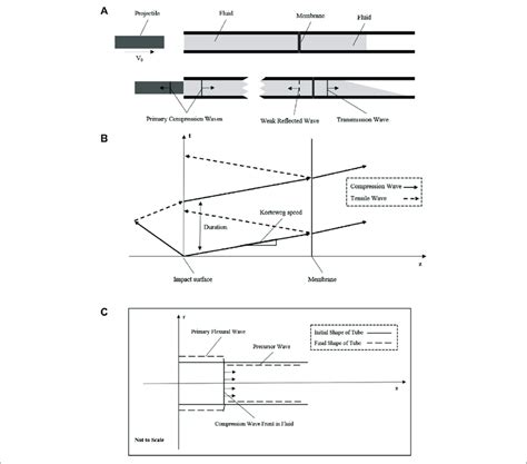 Schematic Diagram Showing The Basic Principle Of The Fluid Structure