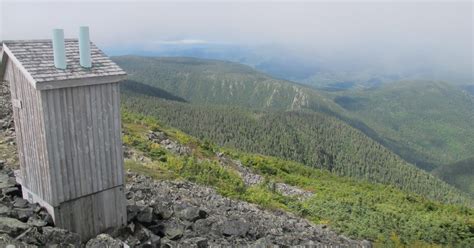 Stephanie Brisson About Me