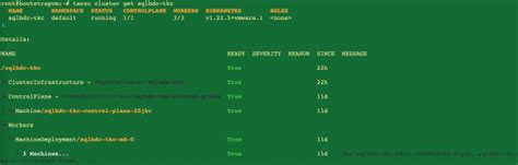 Running Microsoft Sql Server Big Data Clusters In Tanzu Kubernetes Grid
