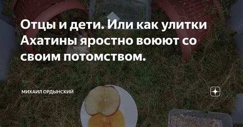 Отцы и дети Или как улитки Ахатины яростно воюют со своим потомством Михаил Ордынский Дзен
