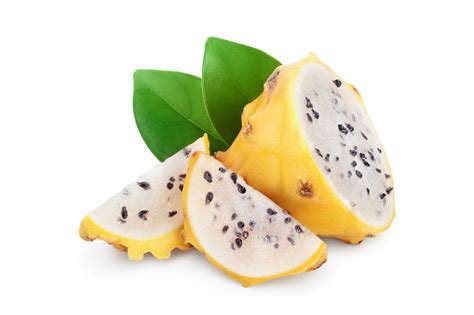 잘 익은 드래곤 과일 피타야 또는 피타 하야 노란색 흰색 배경에 고립 과일 건강 한 개념 0명에 대한 스톡 사진 및 기타 이미지 Istock