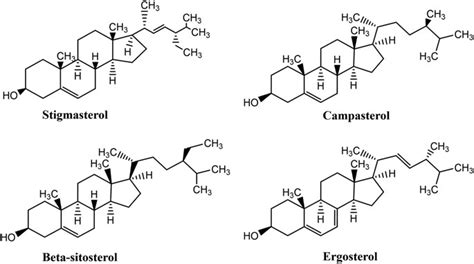 3 Chemical Structure Of Phytosterols Stigamsterol Campasterol And Download Scientific