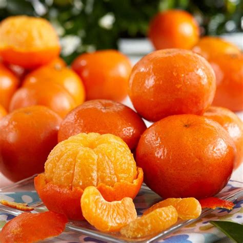 Tangerine Fruit Brand At Timothy Greenwell Blog