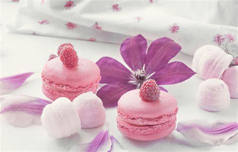 산딸기 클레 마티스의 아름 다운 꽃 배경 마쉬 멜 로우와 마 카로 니 디저트 클로즈업입니다 선택적 초점 0명에 대한 스톡 사진 및 기타 이미지 Istock