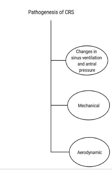 Pathogenesis Of Crs Crs Chronic Rhinosinusitis Image Credit Author