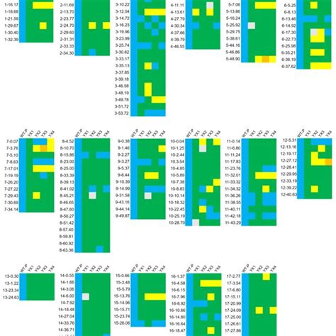 Matrix Of The Polymorphisms Using The Indel Markers Among The Five