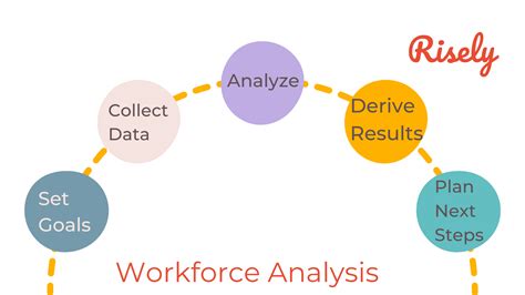 What Is Workforce Analysis Examples And Success Factors Risely