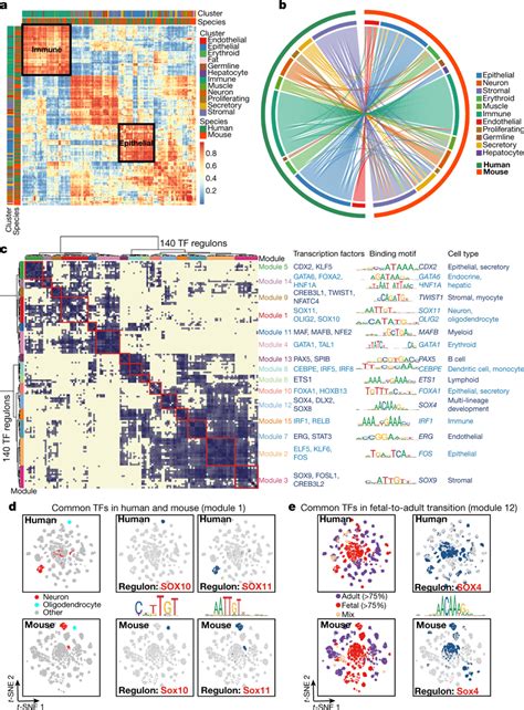 Cross Species Comparison Of Cell Landscapes A Correlation Of