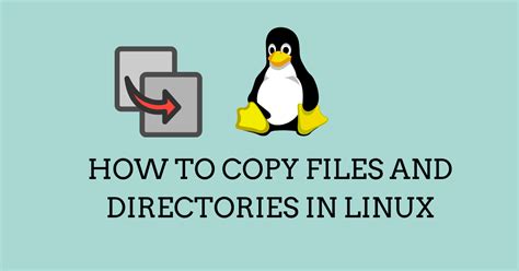 Cp Command In Linux How To Copy Files And Dir In The Linux Simitech