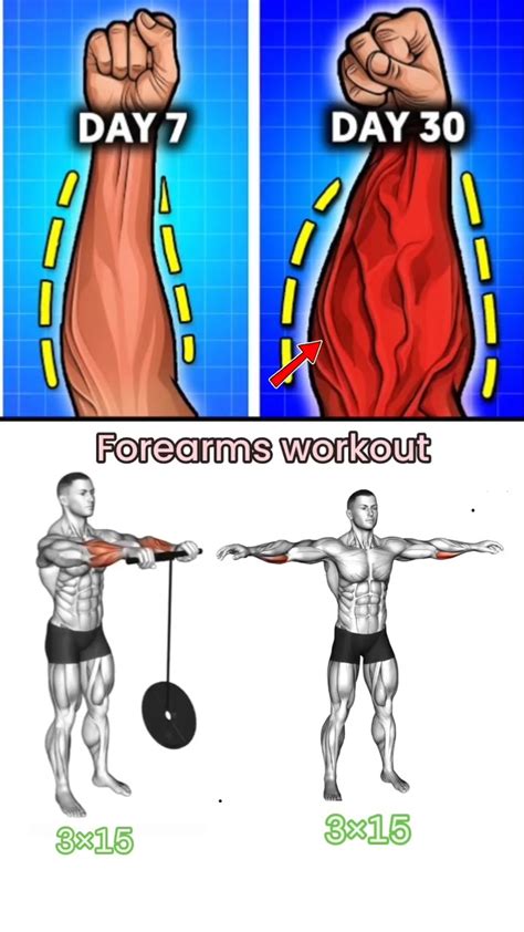 2workoutfitnesslabo full upper body and bicep workout 1 push ups 4x12 15 classic