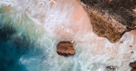 Halophilic Fungi Can Restructure Cell Walls To Withstand Extreme Environments News The