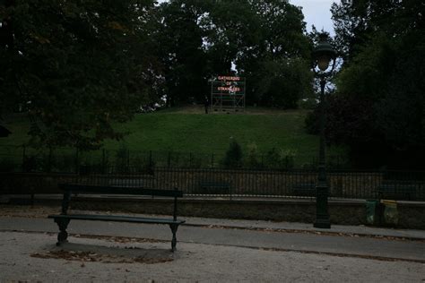 무료 이미지 나무 자연 모임 벤치 밤 아침 파리 프랑스 녹색 공원 정원 조명 미술 은행 아르 볼 얼버리 쿤스트 파르 케 바움 파르코