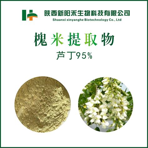 槐米提取物 陕西新阳禾生物科技有限公司