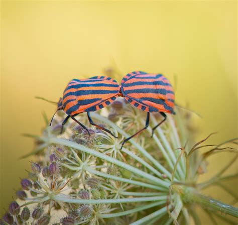 Hackathon Background Photos Download The Best Free Hackathon