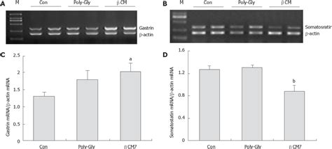 Figure 1 From Effects Of Intra Gastric Beta Casomorphin 7 On Somatostatin And Gastrin Gene