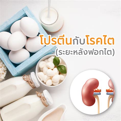 โปรตีนกับโรคไต ระยะหลังฟอกไต