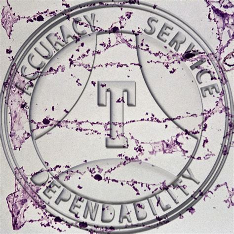 Scypha Cs Ls Prepared Microscope Slide