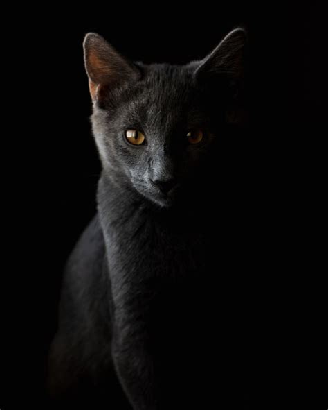 Apt 0 On Linkedin Ctf Cybersecurity Ctf Ethicalhacking Infosec