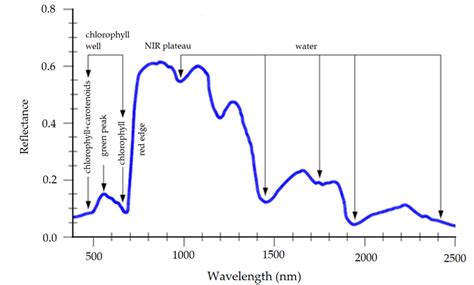 Typical Healthy Vegetation Spectral Signature Download Scientific