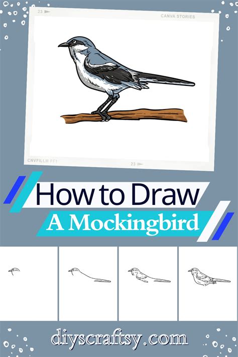 10 Mockingbird Drawing Ideas How To Draw Mockingbird Diyscraftsy
