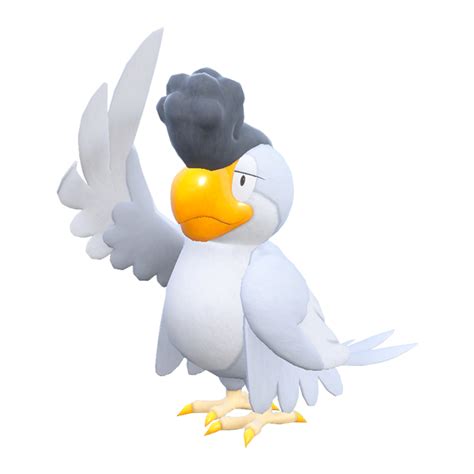 Squawkabilly Pokédex The Official Pokémon Website In India