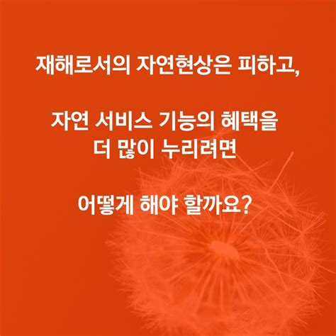 천재지변에서 살아남는 법 자연재해와 공존하는 법 예스24 채널예스