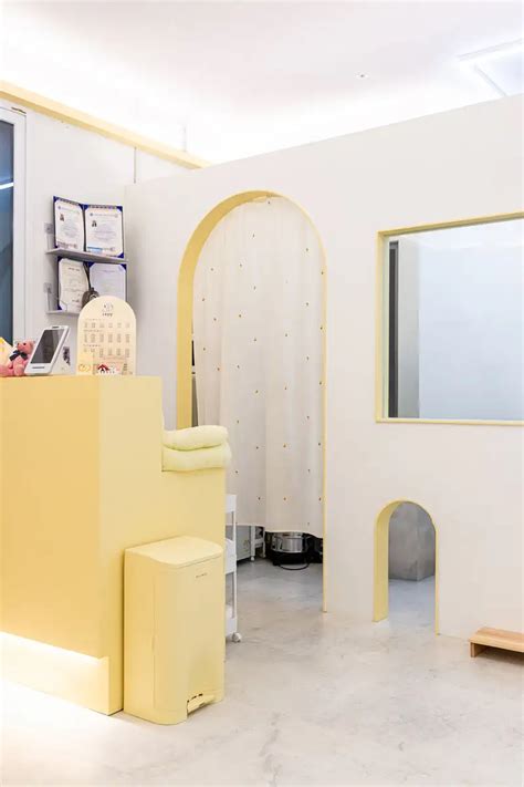 옐로우 컬러 포인트 캐주얼 모던 컨셉 10평 애견미용샵 인테리어 금천구 가산동