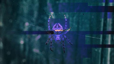 Angelo Pio Amirante On Linkedin Malware Development Basics