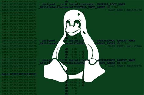 Tryhackme Linux Backdoors