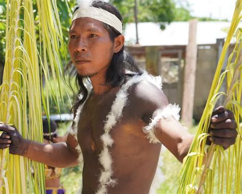 7 Identificación De Estructuras De Conocimiento Tradicional Ierna