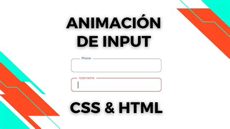 Animación A Un Input Con Html Y Css Paso A Paso Youtube