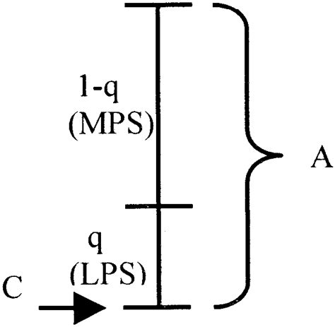 Interpretation Of The Parameters In The Mq Coder Download Scientific Diagram
