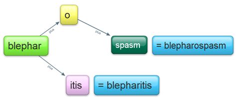 Using Mind Mapping As A Memory Tool Owlcation