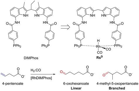 Unraveling The Origin Of The Regioselectivity Of A Supramolecular