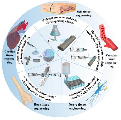 想快速了解电纺纳米纤维在组织工程领域的应用进展？看这6篇文献！ 知乎