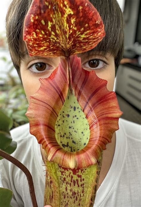 Aposentadoria E Hobby Uma Combinação Vitoriosa Chatgpt