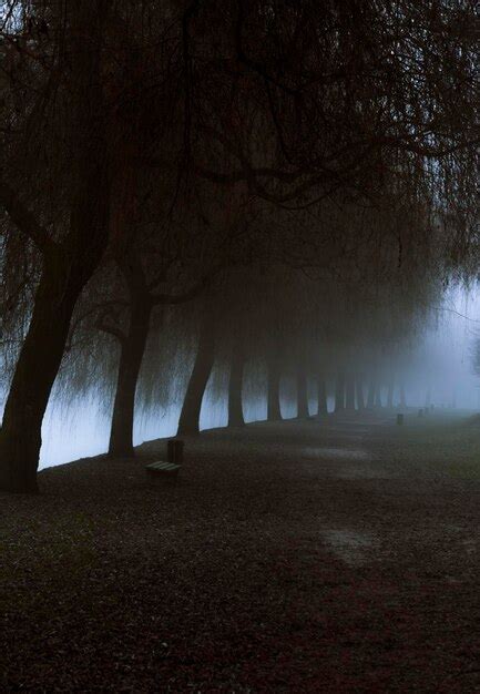 Premium Photo Trees On Field During Foggy Weather