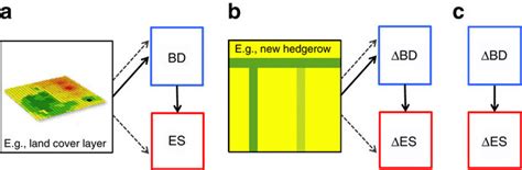 Three Types Of Linkage Between Biodiversity Bd And Es A Spatial Download Scientific