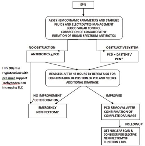 Emphysematous Pyelonephritis Does A Standard Management Algorithm And A Prognostic Scoring